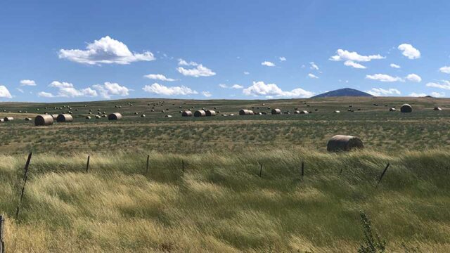 Tiger Butte Ranch - Corder and Associates, LLC