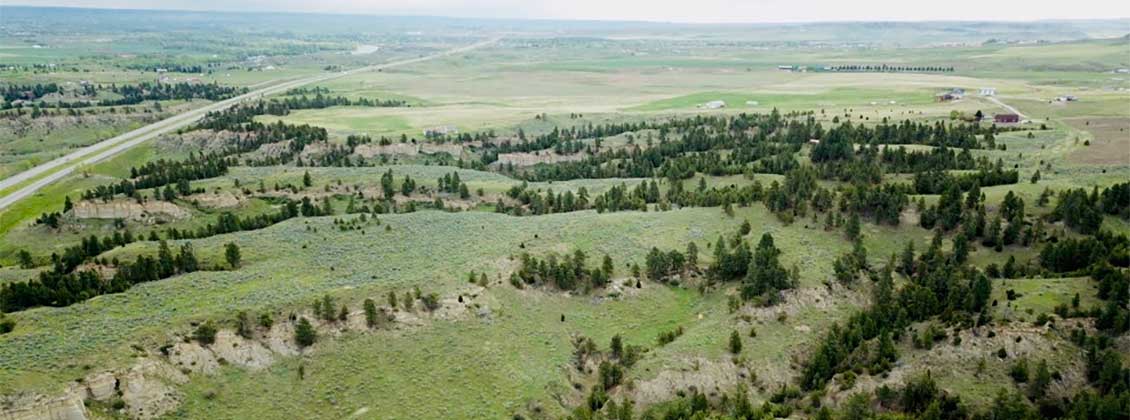 Fascinating Features On Untouched Land - Corder and Associates, LLC