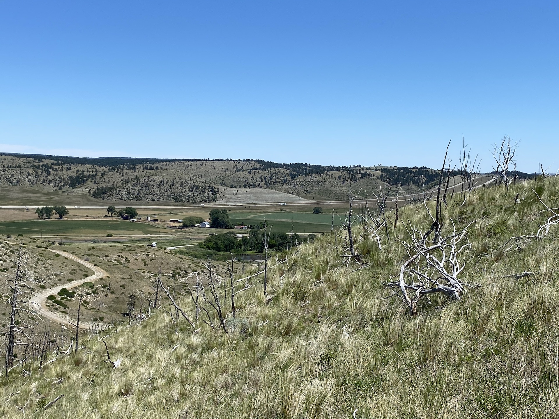 Yellowstone River Ranch Lot - Corder and Associates, LLC
